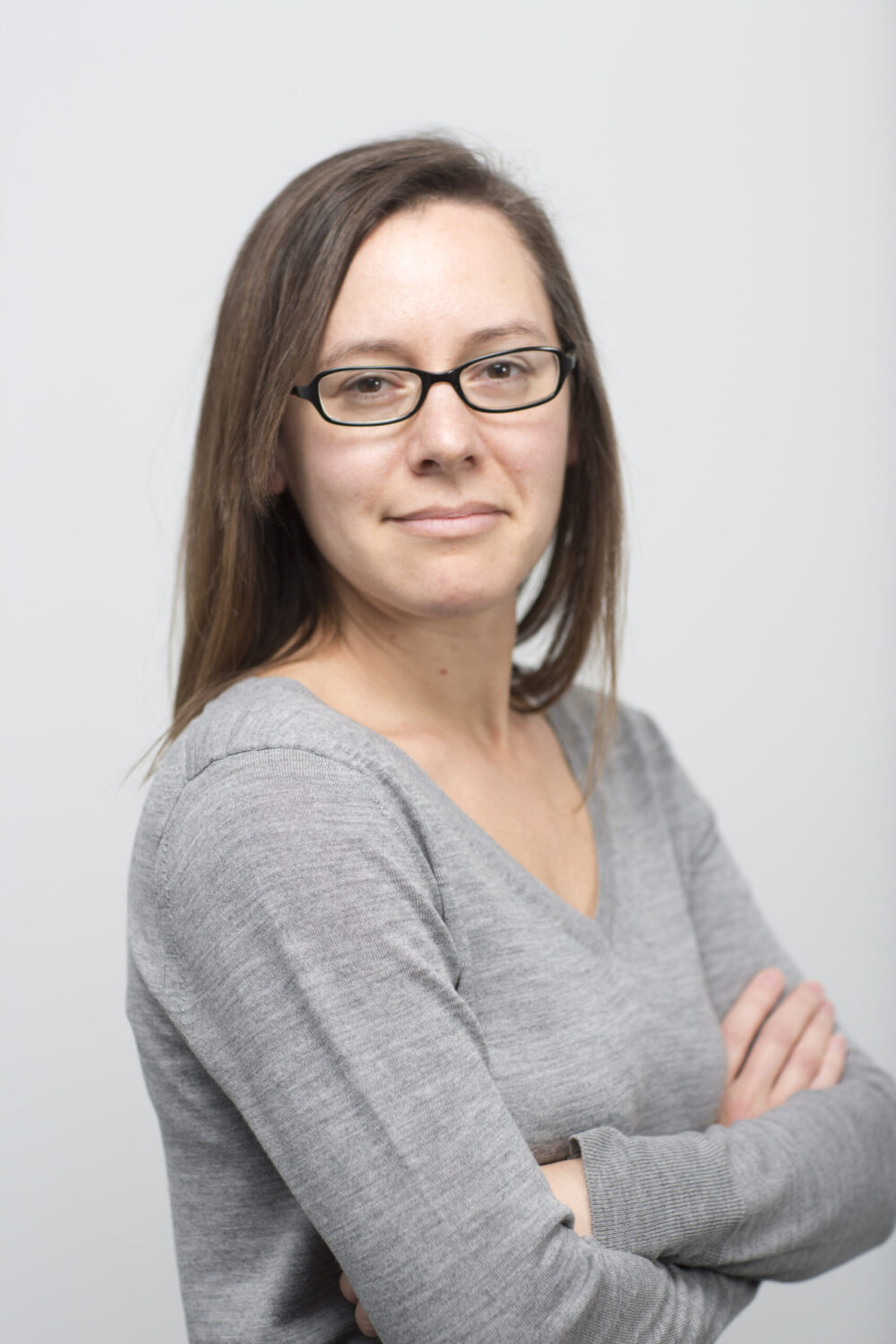 Assisting Self-Represented Litigants in Domestic Violence Cases ...