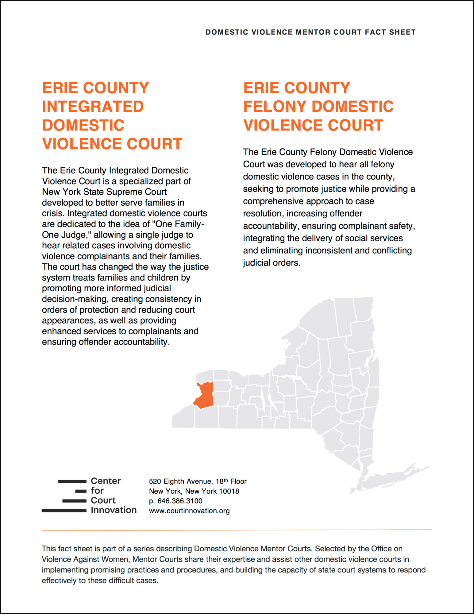 Domestic Violence Mentor Court Fact Sheet: Erie County, New York ...