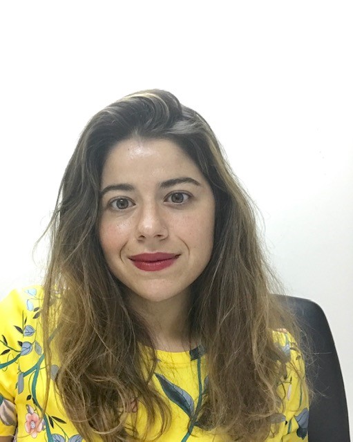 Lauren Curatolo - Center for Justice Innovation