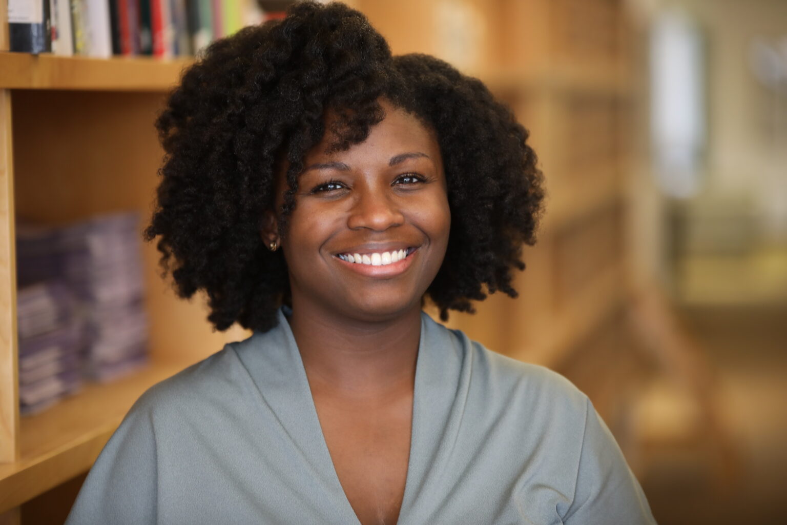 About the New York Legal Policy Team - Center for Justice Innovation