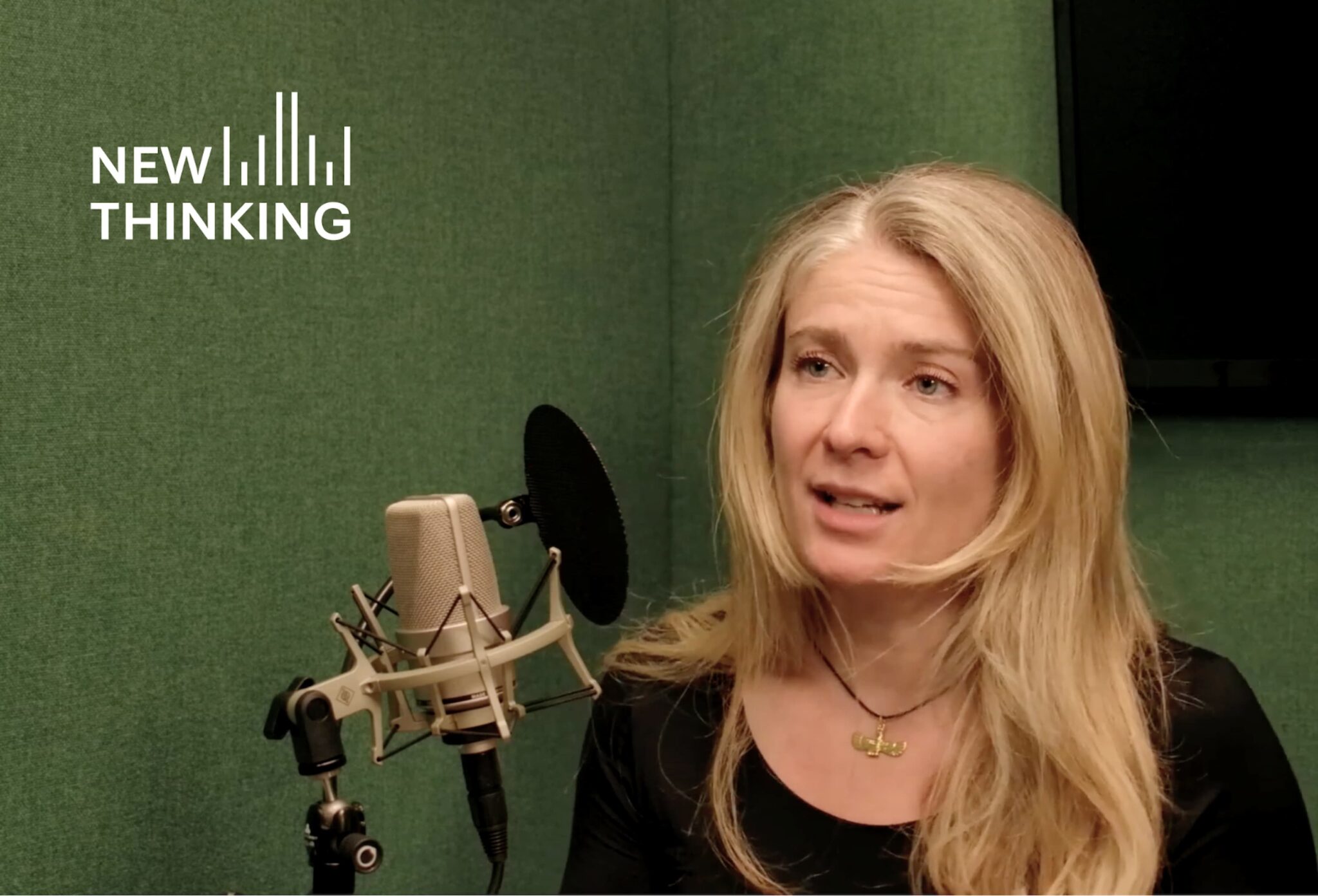 Punishment Isn’t Safety: A Public Defender’s Vision for Justice ...